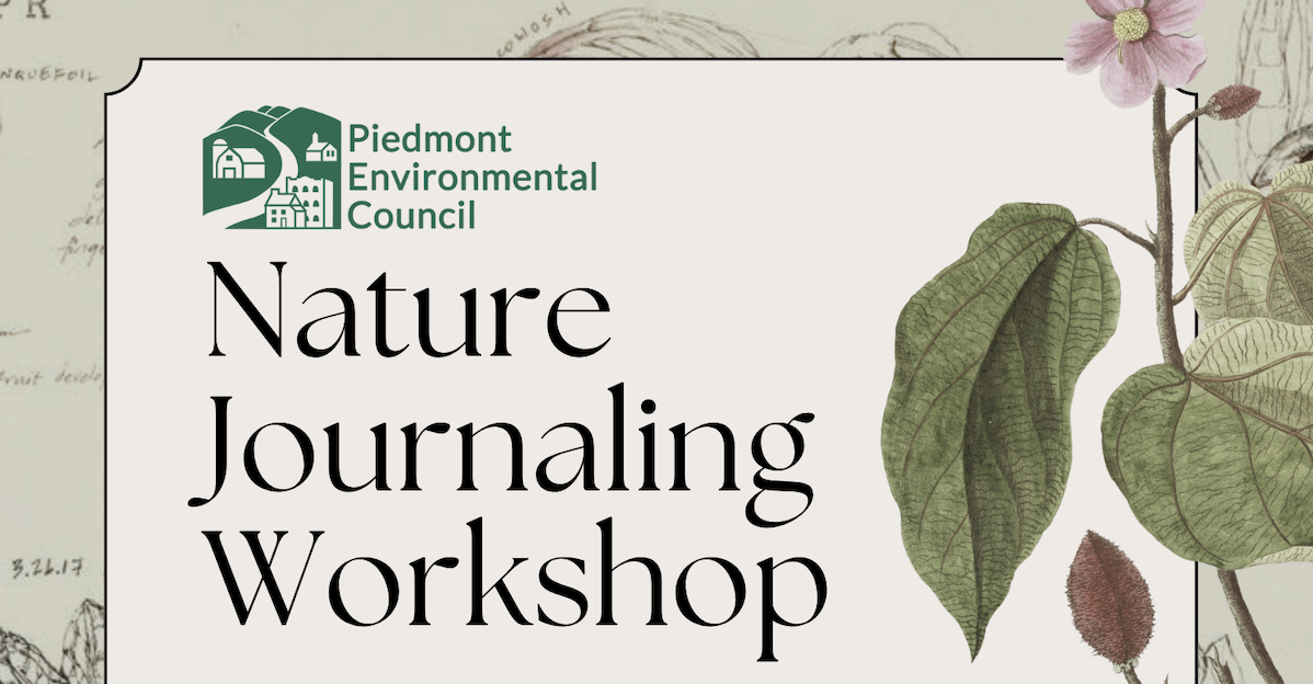 Nature Journaling Workshop - Montfair Resort Farm